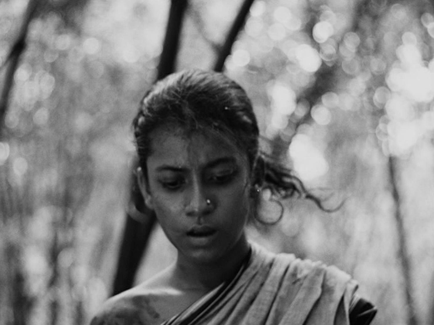 Pather Panchali (1955) image
