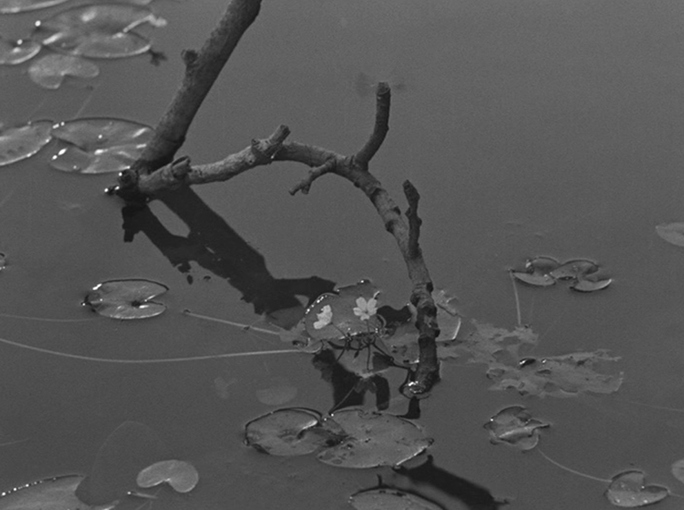 Image of Pather Panchali