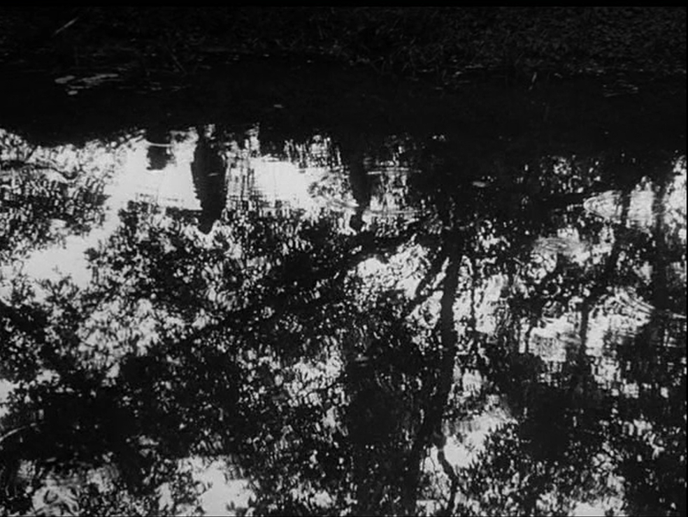 Pather Panchali (1955) picture