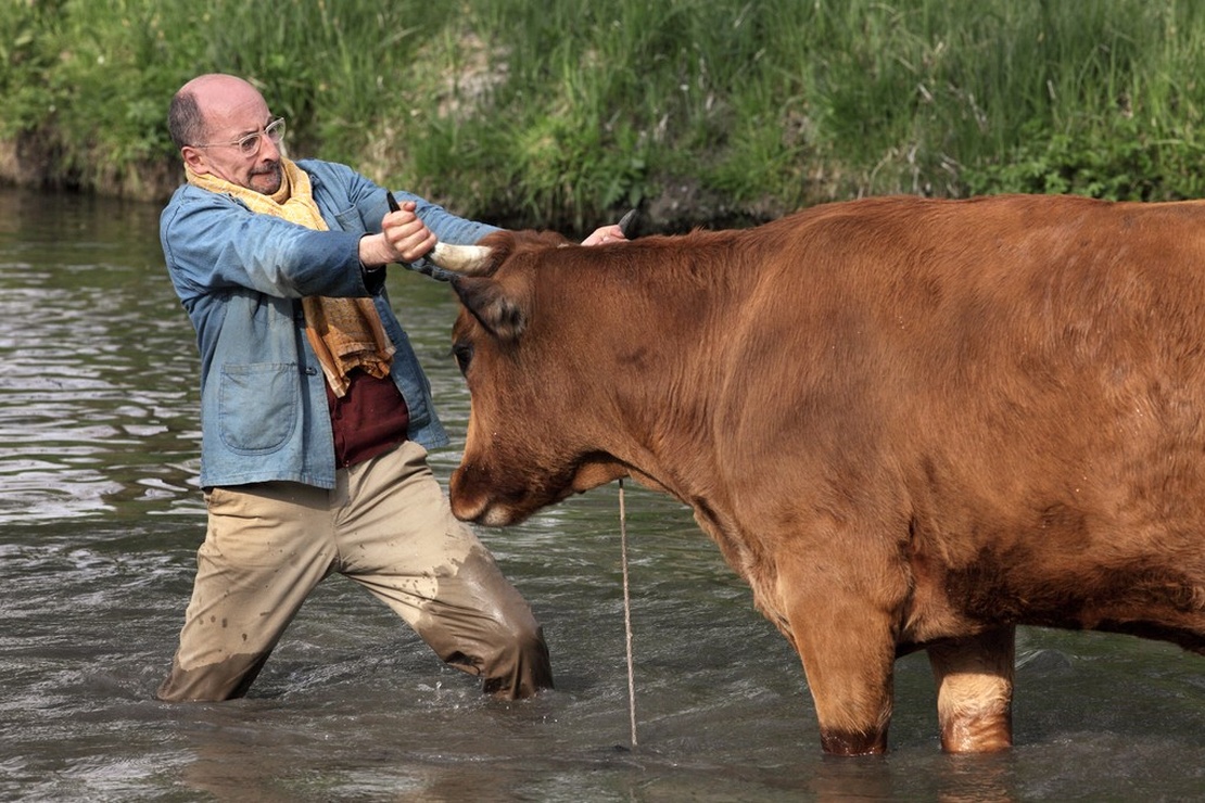 Picture of One Man and his Cow