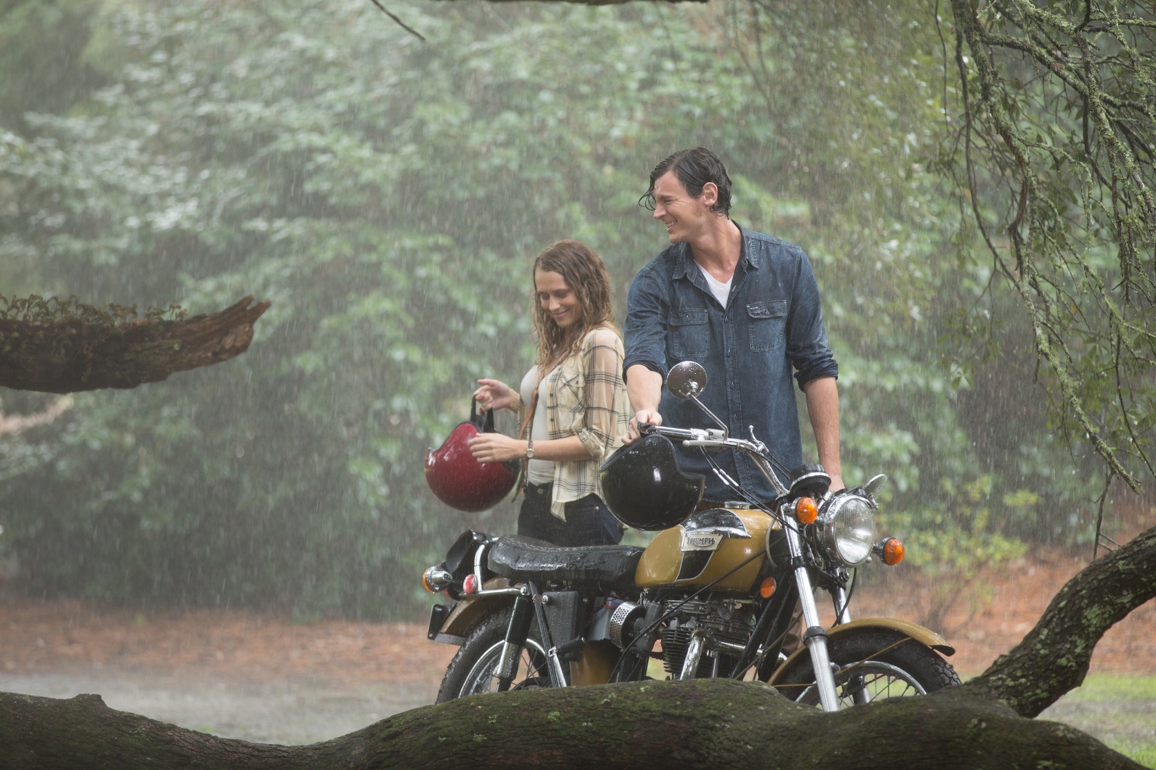 Picture of The Choice