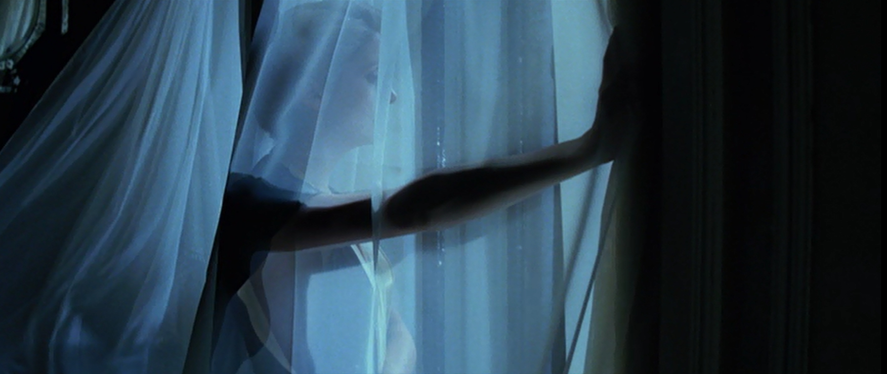 Picture of The Hunger (1983)