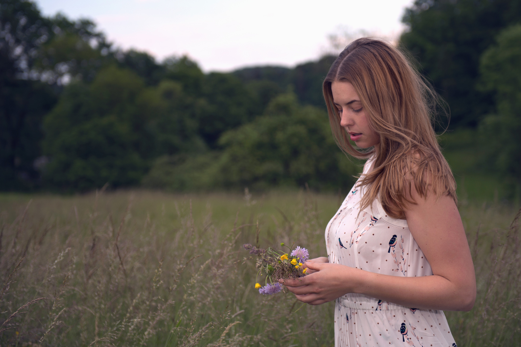 Kera Rachel Cook image