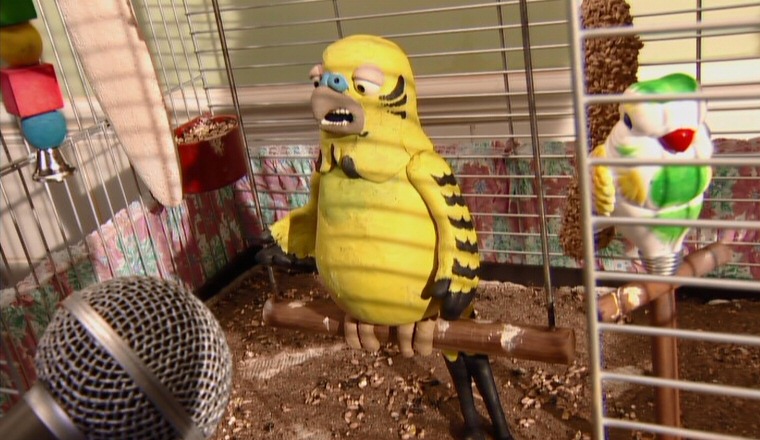 Image of Creature Comforts (2003- )