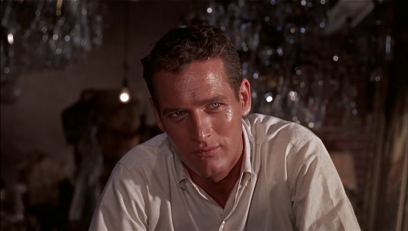 Cat on a Hot Tin Roof image