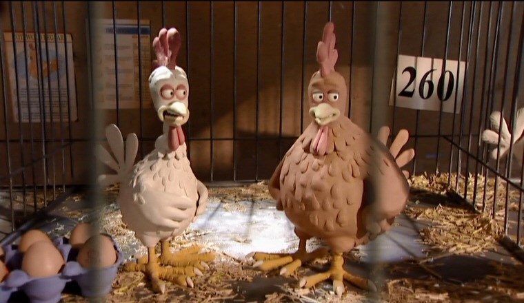 Picture of Creature Comforts