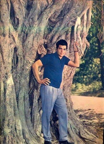 Picture of Dharmendra