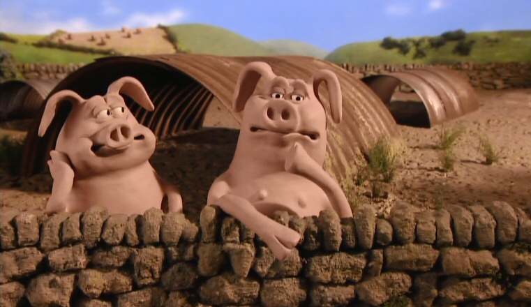 Creature Comforts image