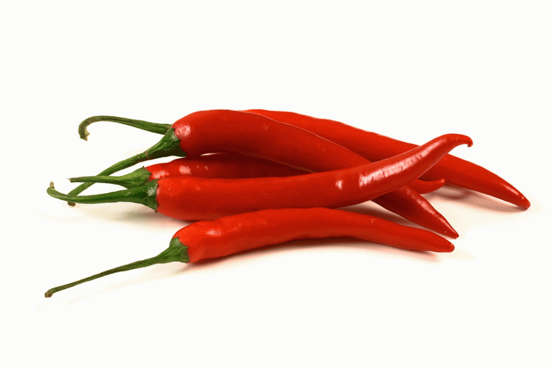Chilli Pepper picture