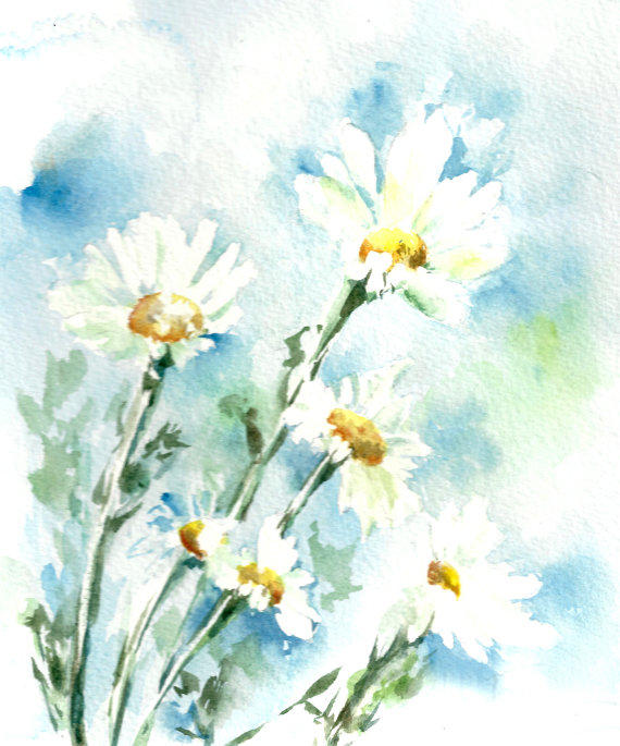 Daisies Watercolour