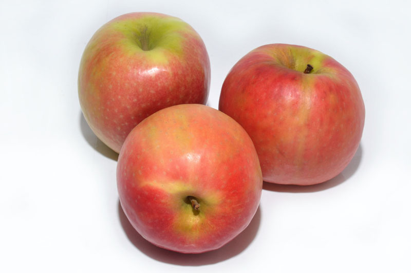Picture of pink lady apple
