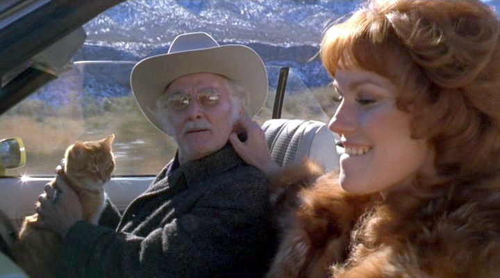 Picture of Harry and Tonto (1974)