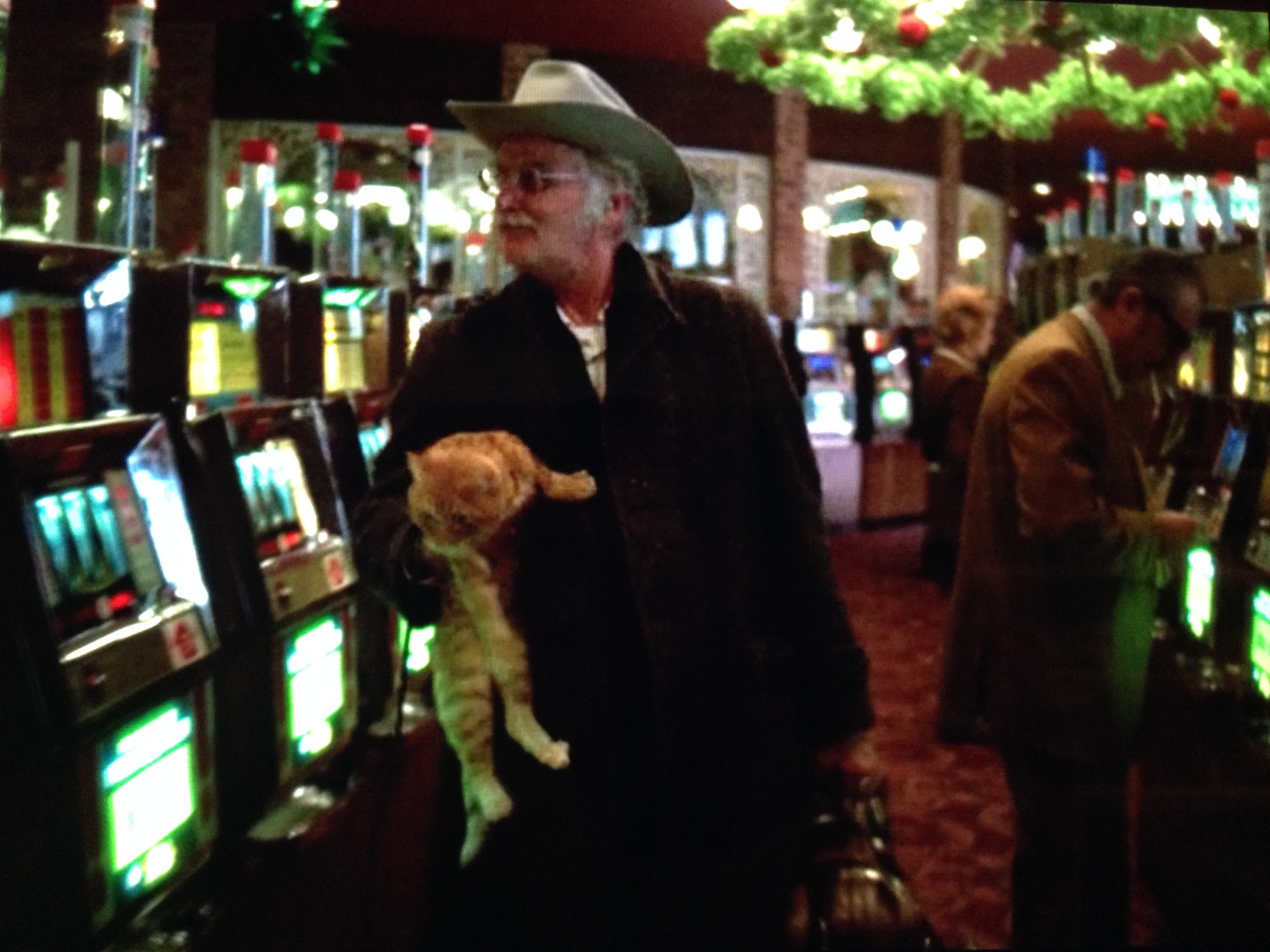 Picture of Harry and Tonto (1974)