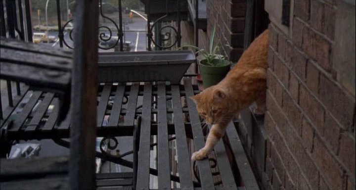 Picture of Harry and Tonto (1974)