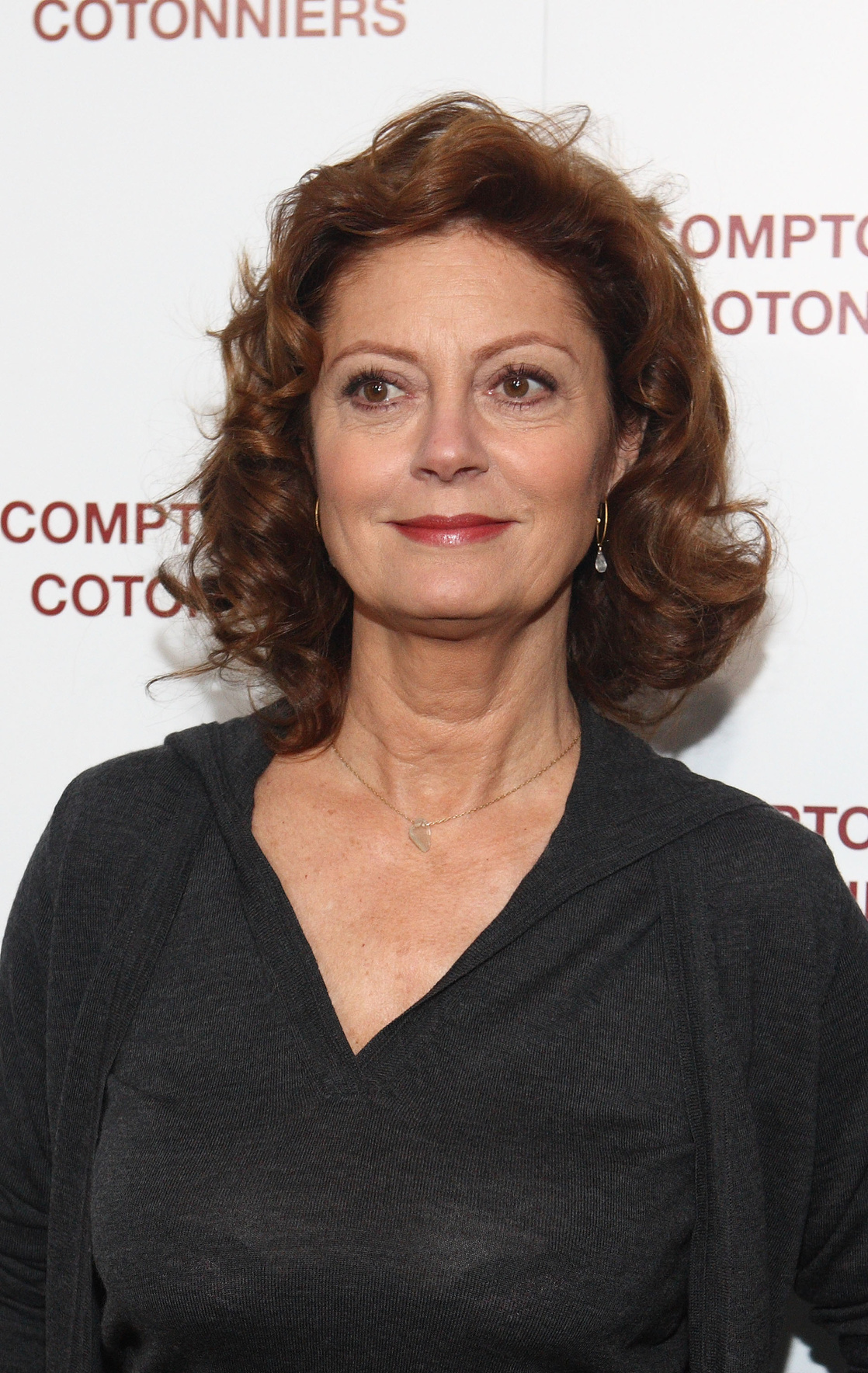 Picture of Susan Sarandon