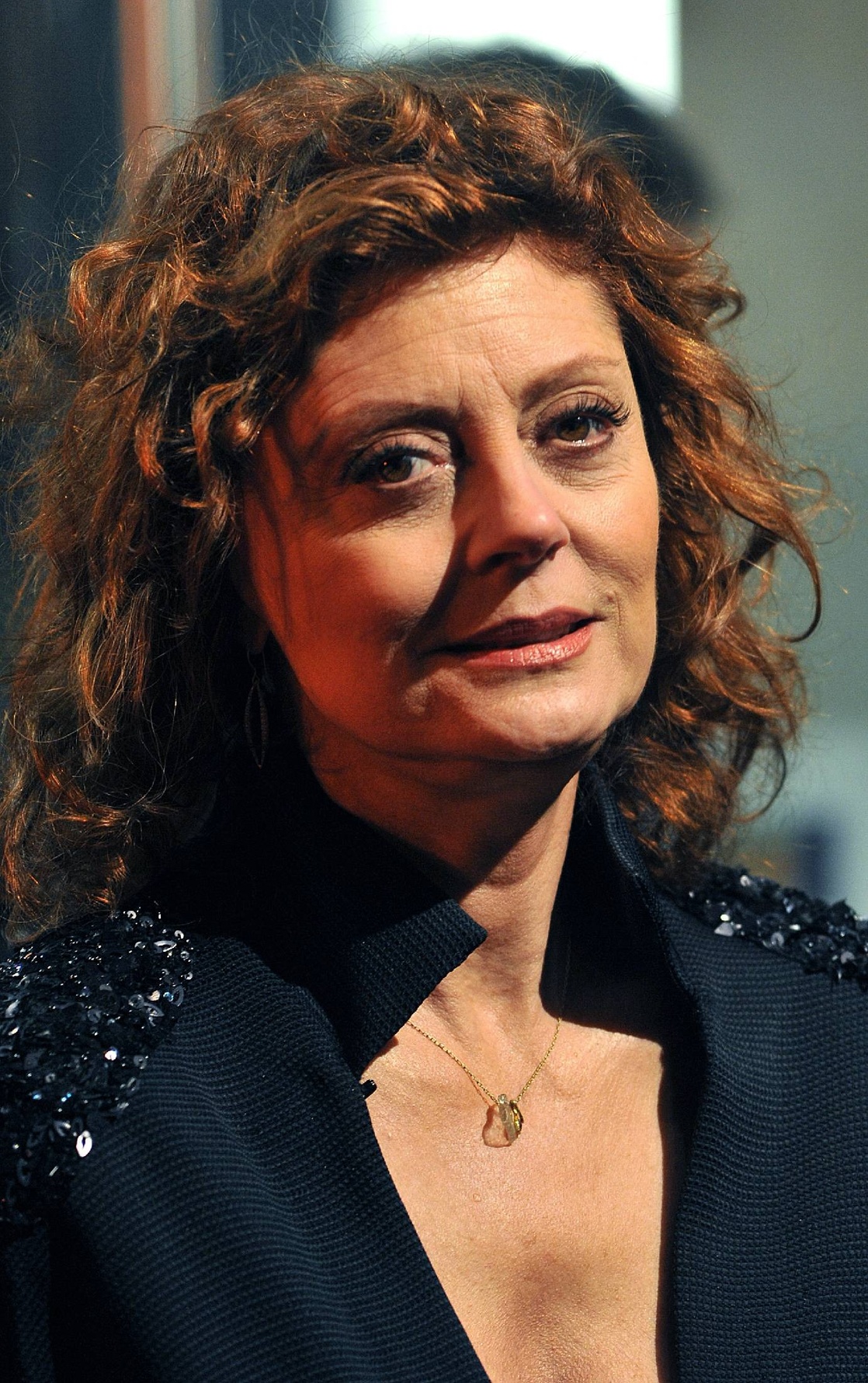 Picture of Susan Sarandon