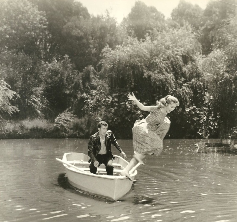 Picture of Rally 'Round the Flag, Boys!