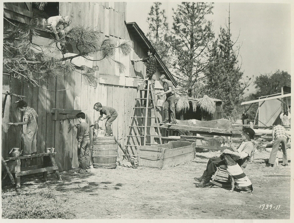 Picture of Ma and Pa Kettle at Home (1954)