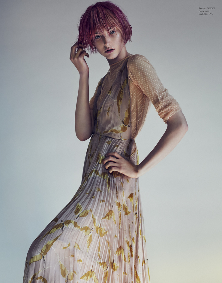 Picture of ALLYSON CHALMERS