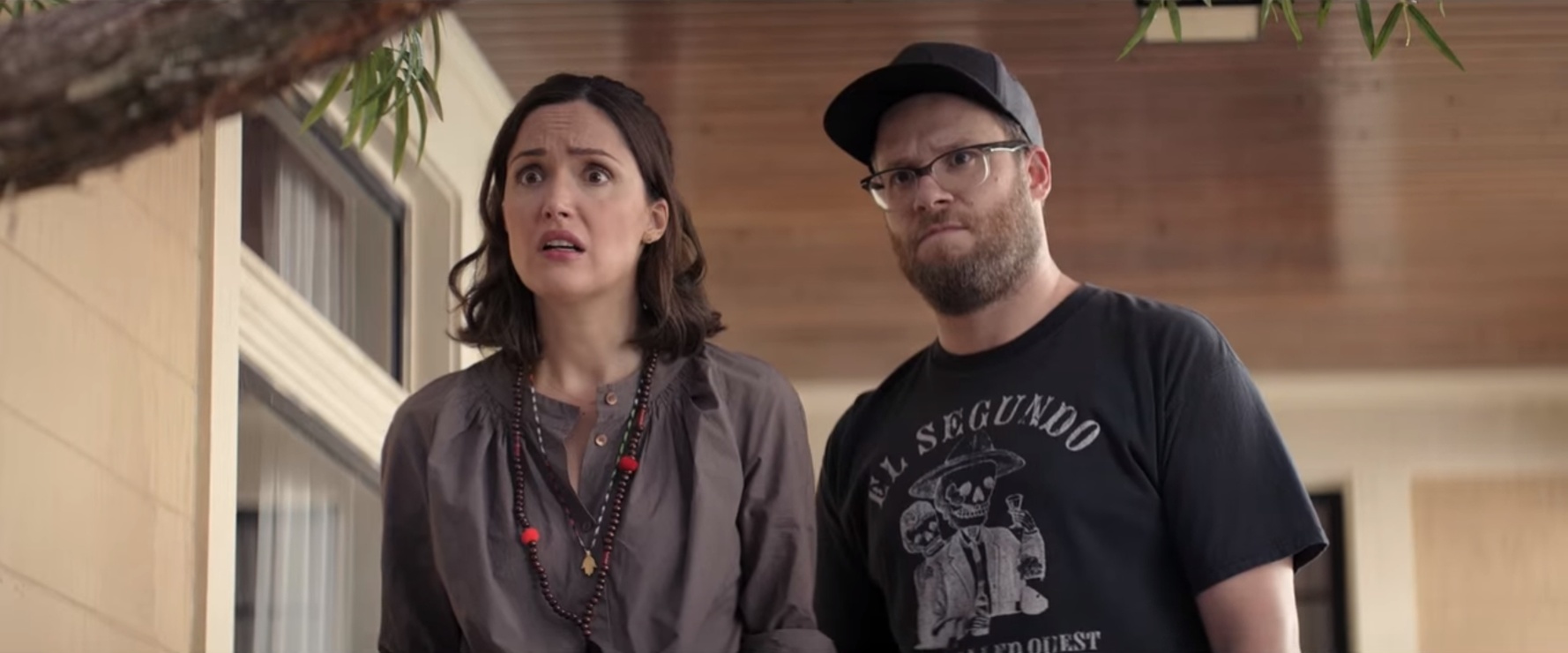 Neighbors 2: Sorority Rising image
