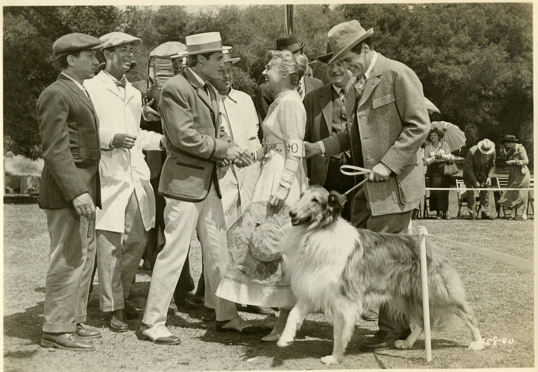 Picture of Lad: A Dog