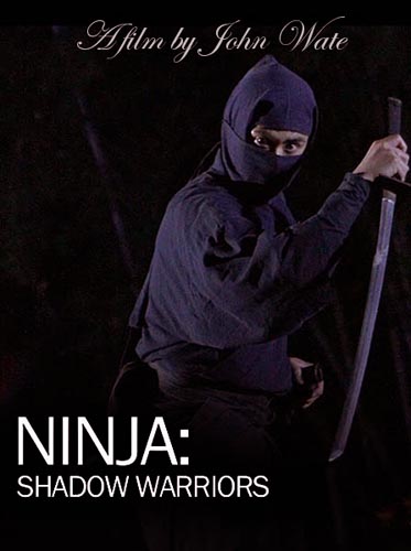 Picture of Ninja Shadow Warriors