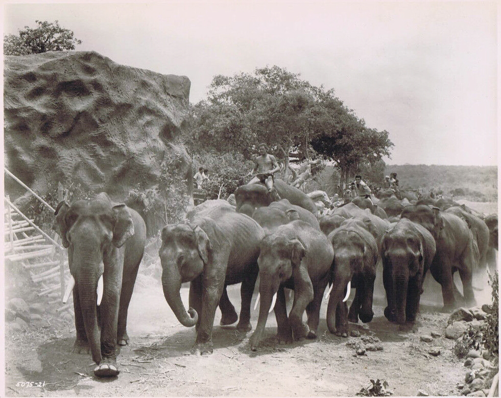 Picture of Tarzan Goes to India (1962)