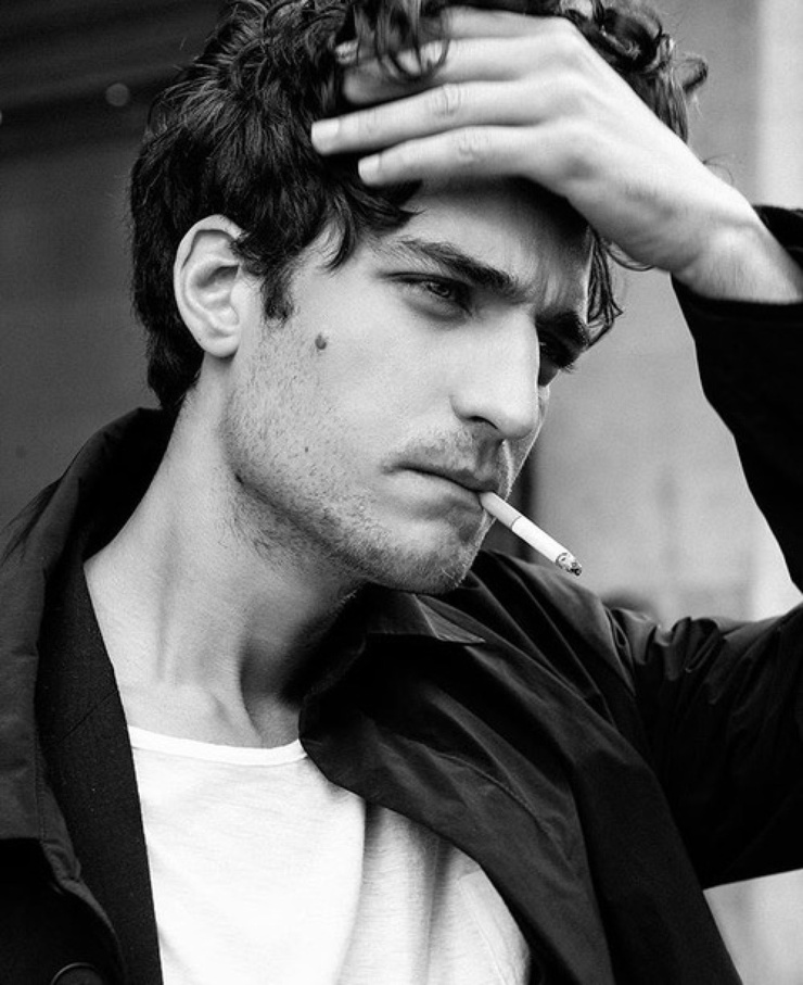 Louis Garrel image