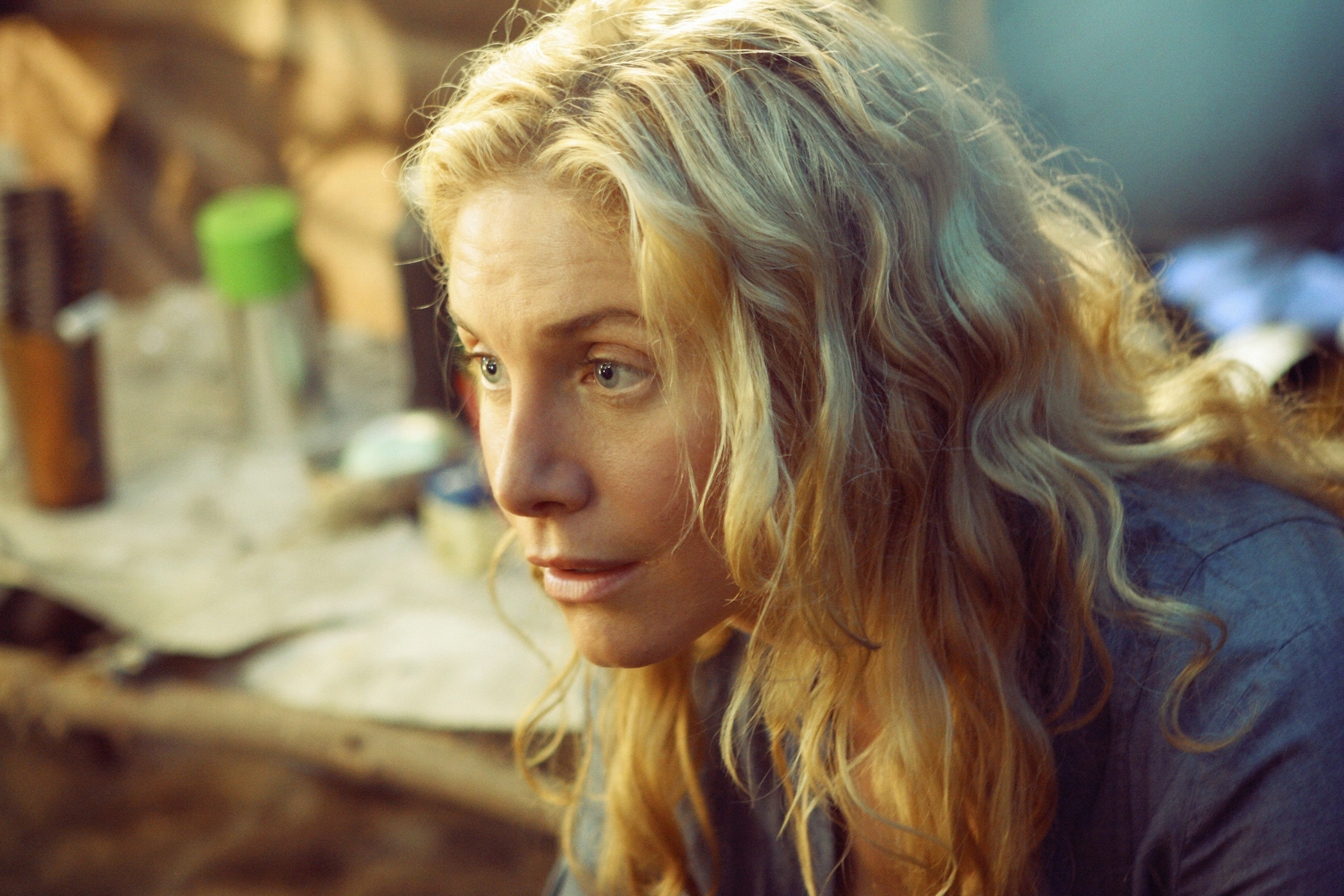 Elizabeth Mitchell picture