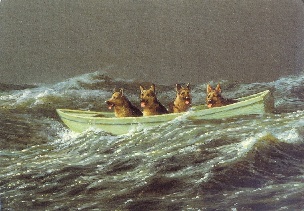 Picture of Michael Sowa