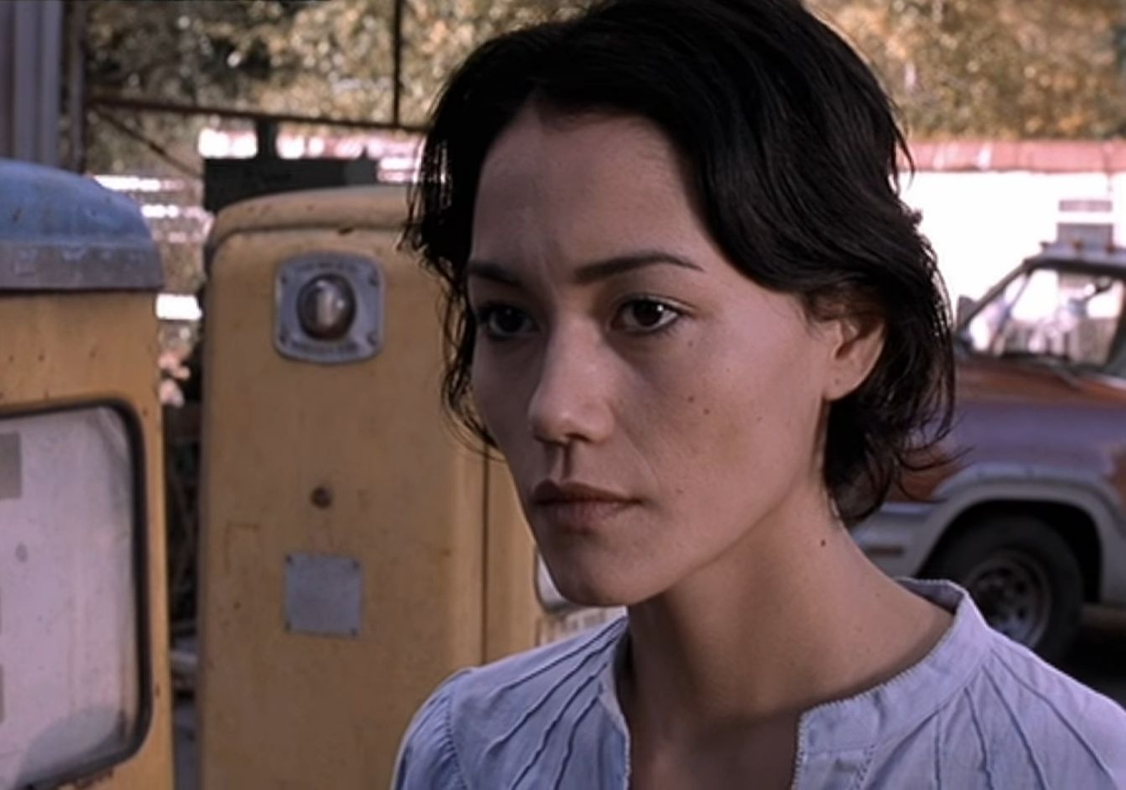 Sandrine Holt image