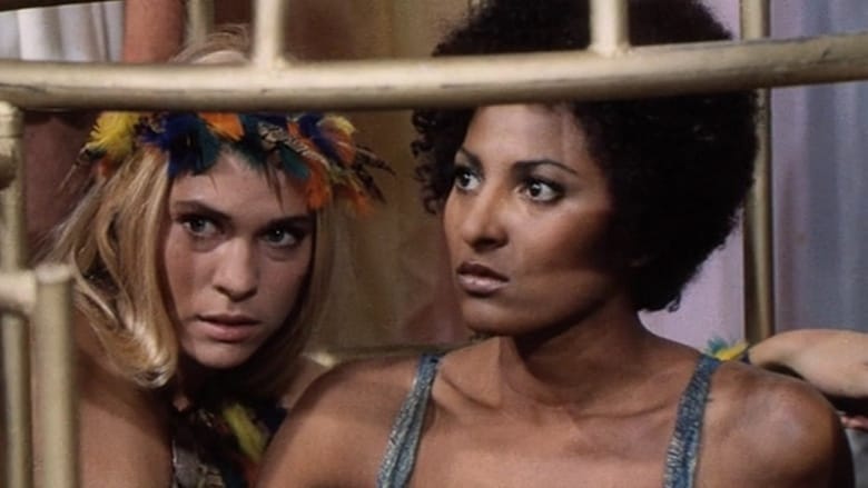 Picture of The Arena